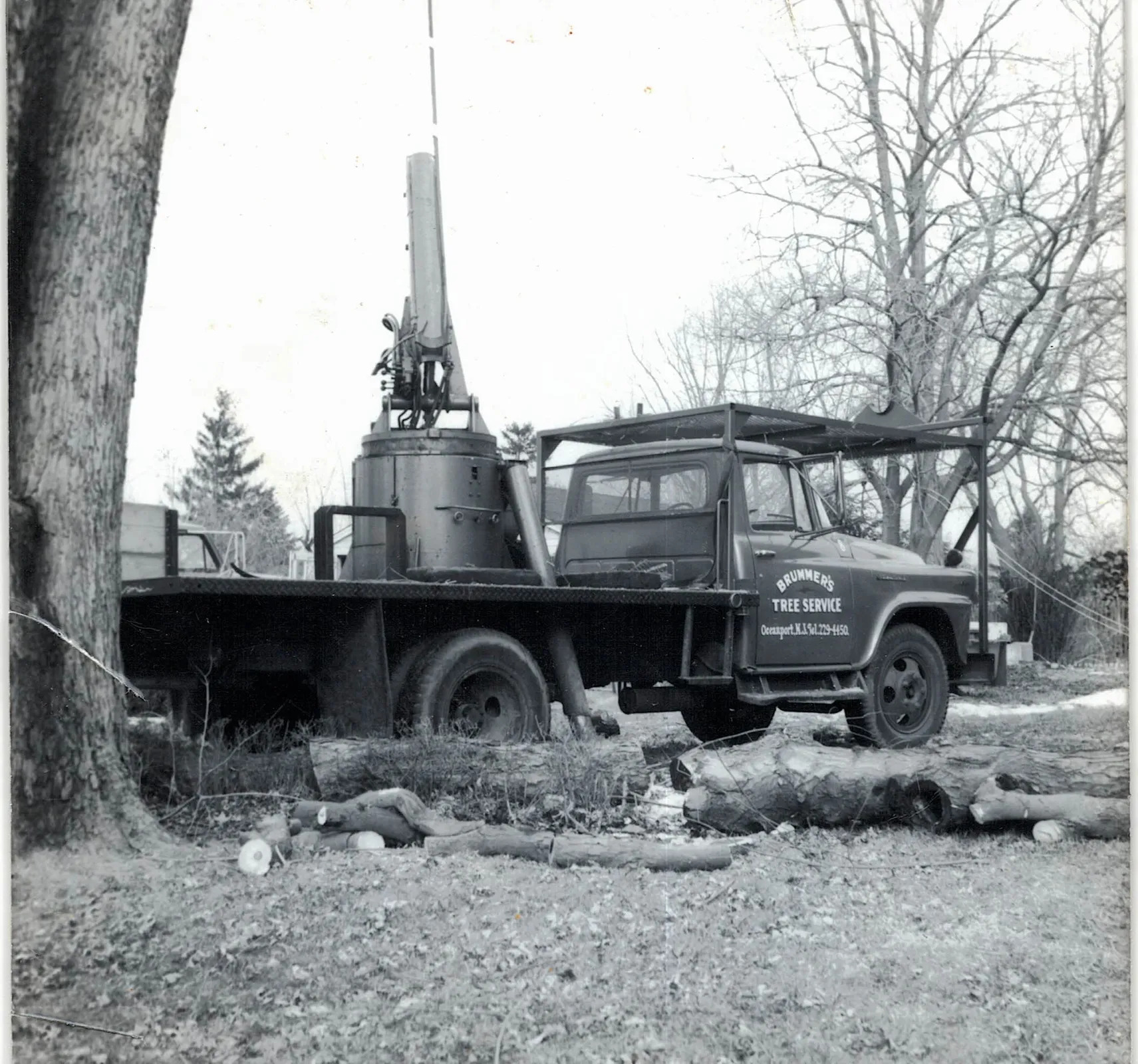 Brummer's Tree & Shrub, LLC - Brummer's Tree Service