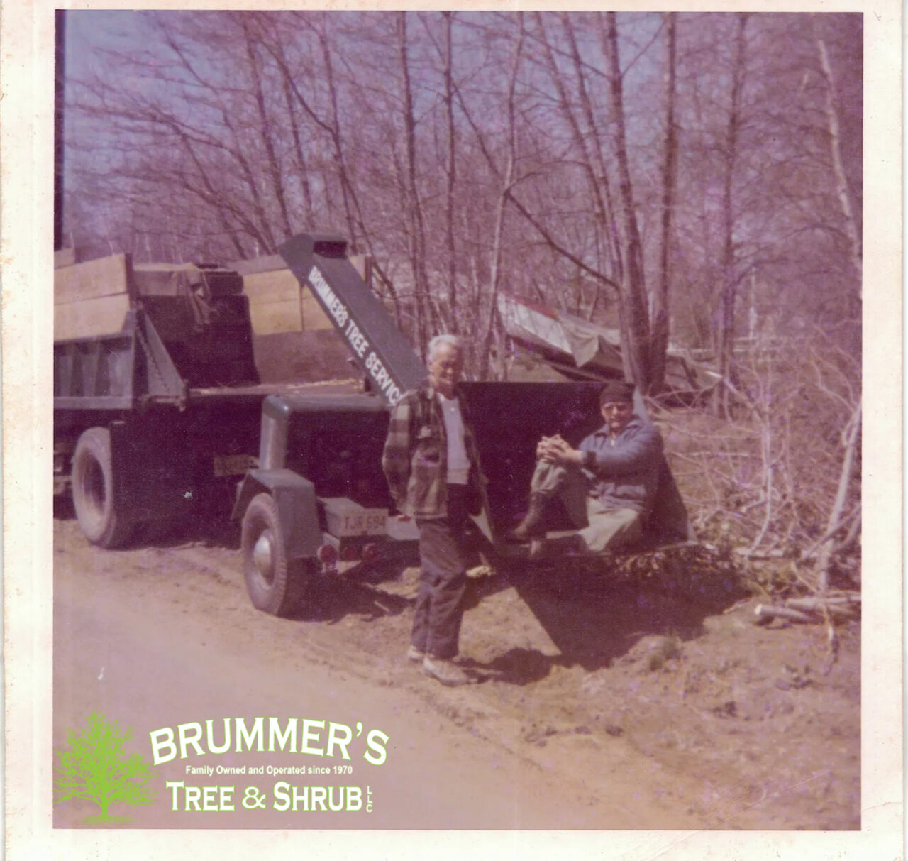 About Us - Brummer's Tree & Shrub, LLC - Brummer's Tree Service